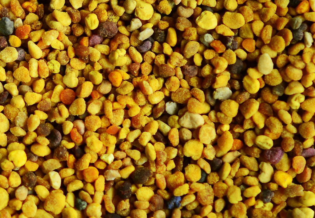 Pollen – Bienen und mehr